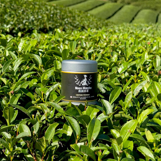 Why is matcha expensive? | Understanding the value of Japanese matcha ...